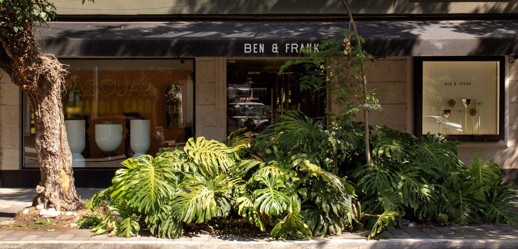 Ciudad de México / Polanco | Ben & Frank - Lentes para ver(te) mejor